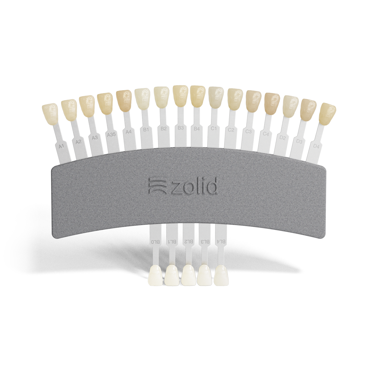 Zolid Bionシェードガイド - Amann Girrbach